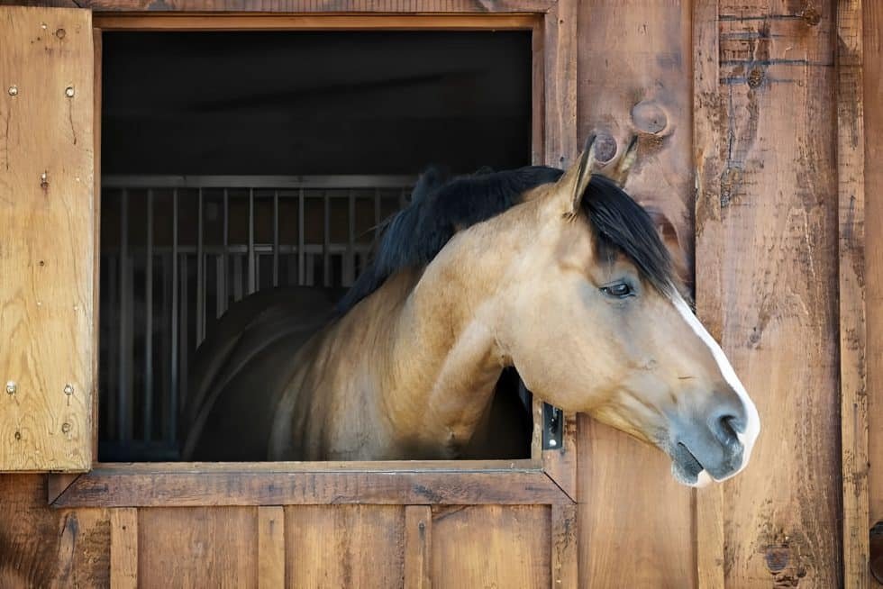 Weekly Barn Door Safety Inspection: Essential Checklist
